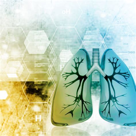A Dataset Of Lung Sounds Kaggle