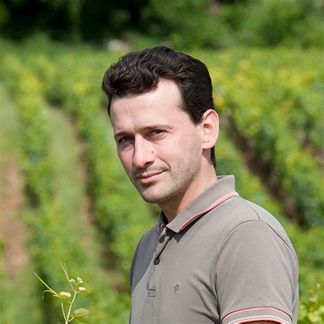 Domaine Henri Gouges Vins De Nuits Saint Georges Bourgogne