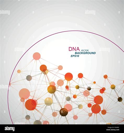 Vector Network Connection And Dna Eps10 Stock Vector Image And Art Alamy