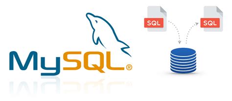 How To Use Mysql Database In Docker Container Templates Sample Printables