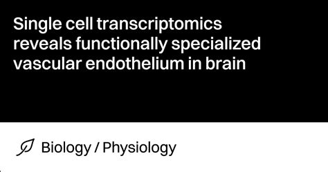 Single Cell Transcriptomics Reveals Functionally Specialized Vascular