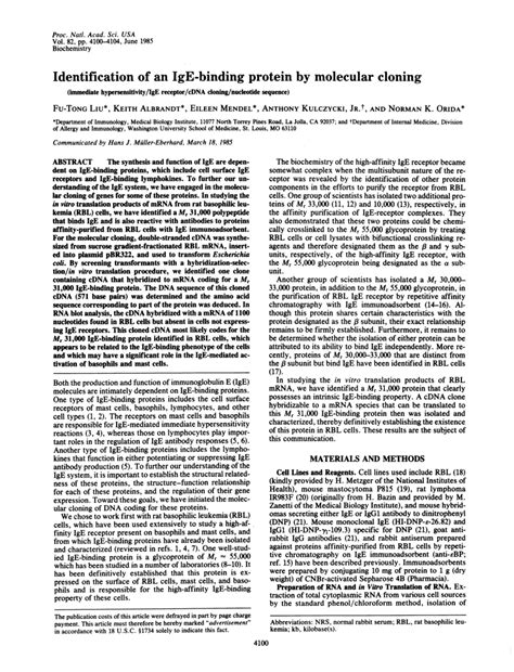 Pdf Identification Of An Ige Binding Protein By Molecular Cloning