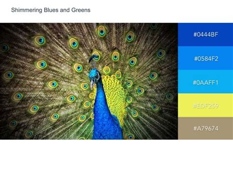 50 Best Colour Combinations To Create A Perfect Ui Interface Pptx