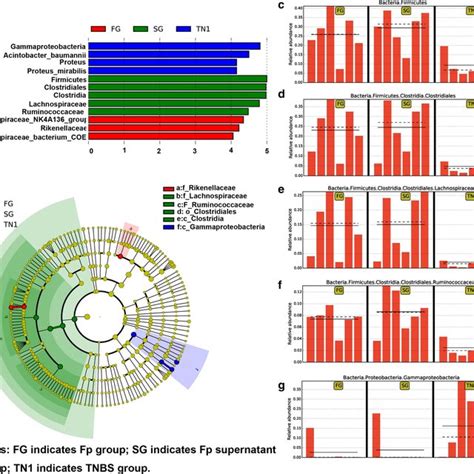Microbial Biomarkers In The Tnbs Model F Prausnitzii And Its