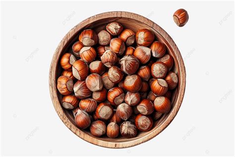 بلوط الخلفية بلوط فاكهة ثمرة شجرة البلوط Png صورة للتحميل مجانا