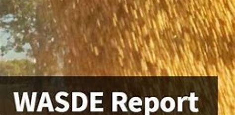 Wasde February Report Paradigm Futures