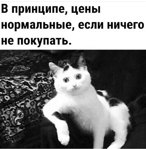 ГыГы Приколы смешные мемы видео и фото выпуск №1408326