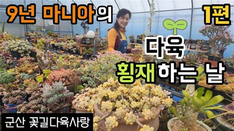 1편9년 마니아의 다육이 오늘 횡재하는 날ㅣ군산꽃길다육사랑ㅣ꽃핀 염자ㅣ다육이 키우기ㅣ신쌤의다다육선多肉植物 Succulent たにくしょくぶつ Youtube