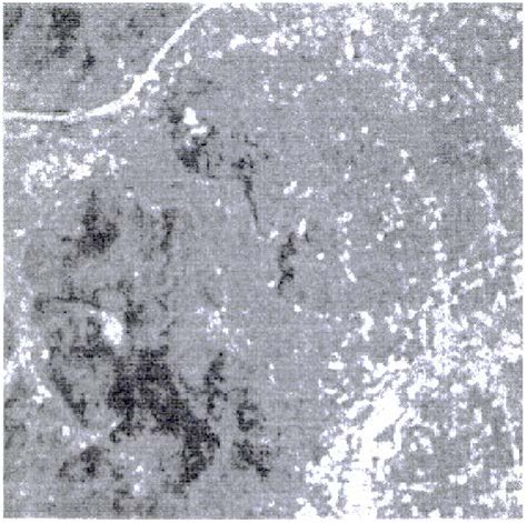 Restored Image With Approximation Of S N Ratio Iv Experiments A Download Scientific Diagram