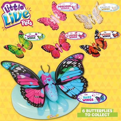 16 best little live pets images on Pinterest | Pet birds, Little live ...