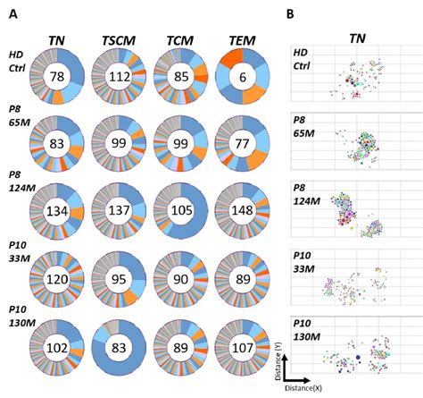 33 Tcr Sequencing Analysis Download Scientific Diagram