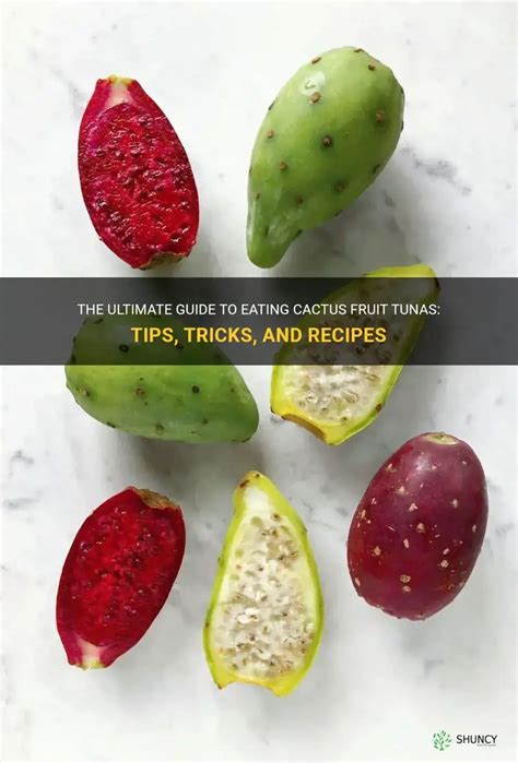 How To Eat Cactus Fruit Tunas Simple Steps And Tips Shuncy