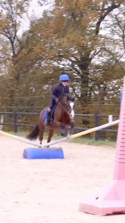 Sous Bassement Youtube