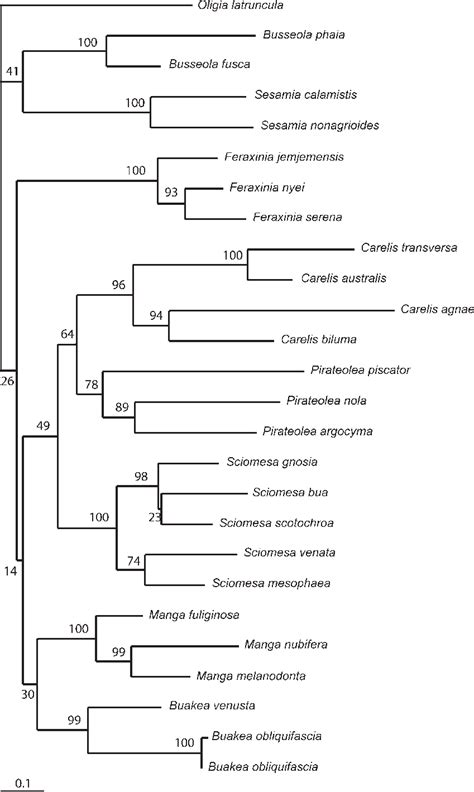 Maximum Likelihood Tree Inferred From Cytochrome B And Cytochrome C
