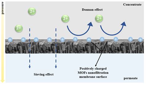 Application Of Nanofiltration Membrane Based On Metal Organic Frameworks Mofs In The