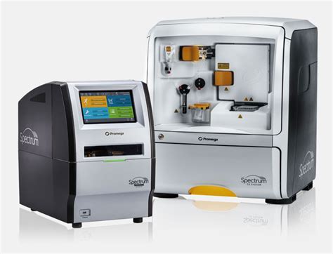 8 Dye Str Kits For Enhanced Forensic Dna Analysis