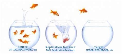 Migrating Databases Using Dms Not A Devops Engineer