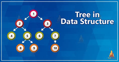 Tree In Data Structure TechVidvan