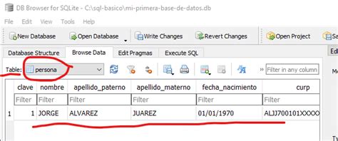 SQL básico Agregar datos a una tabla con SQL SCyASIG