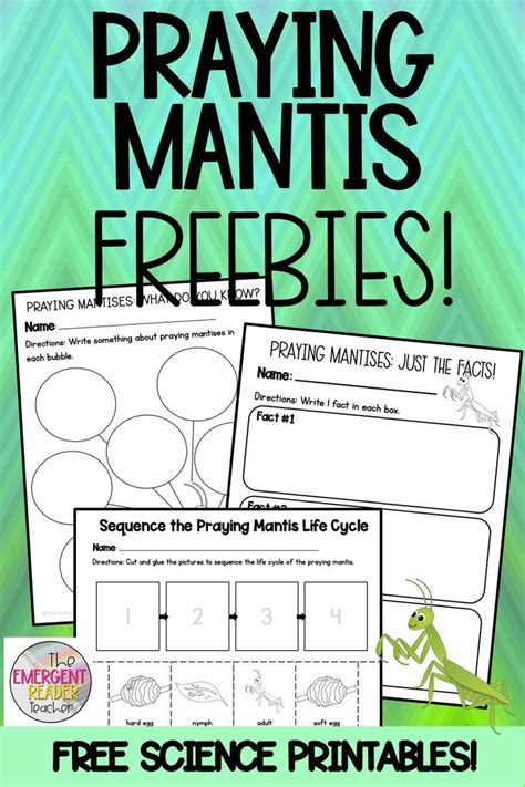 Praying Mantis Printables Freebie Praying Mantis Life Cycle