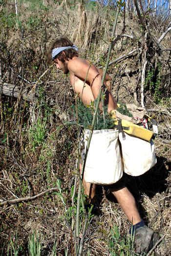 Gone Treeplanting Travel Europe