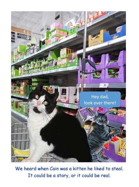 Ella Purrs Search For The Missing Letters Eric Allen Jacobson