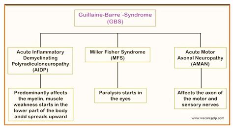Guillain Barré Syndrome Gbs We Care