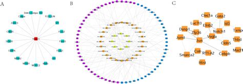 Endothelial Downregulation Of Nuclear M6a Reader Ythdc1 Promotes Pulmonary Vascular Remodeling
