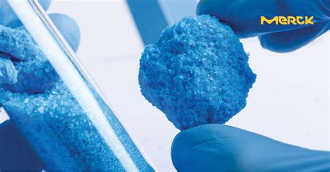 Pcp Brochure Mk Pdf Catalin Ion Md Pmp