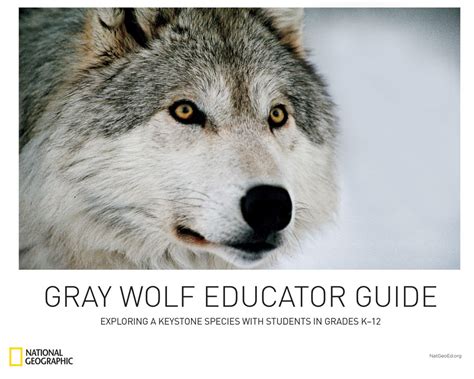National Geographic Living With Wolves