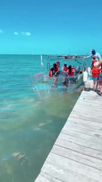 Sreehari G Posted On Linkedin