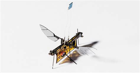 This Insect Sized Flying Robot Is Powered By Lasers Wired