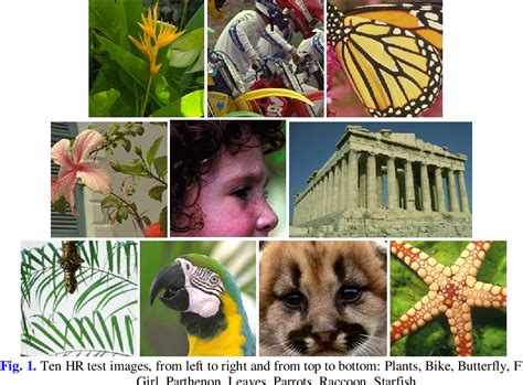 Figure 1 From Low Rank Representation Based Image Super Resolution Reconstruction With Edge