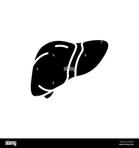 Human Organ Liver Color Line Icon Isolated Vector Element Outline Pictogram For Web Page