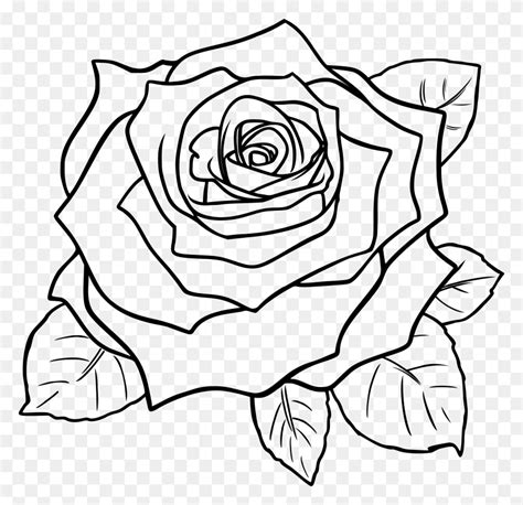 Rose Outline Realistic Drawing Rose With Thorns Outline Images Rose