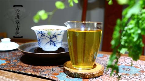 新手喝茶，有什么好的普洱茶推荐？ 知乎