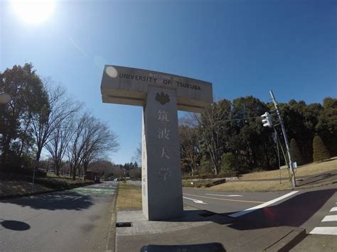 全国社長の出身大学10年連続1位は日大 業績好調企業に多い国立大 ツギノジダイ