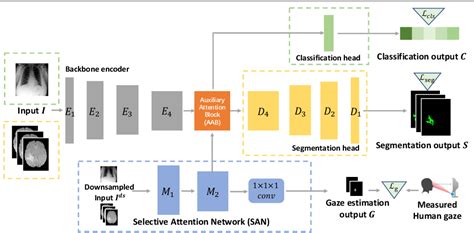 Figure 1 From Leveraging Human Selective Attention For Medical Image Analysis With Limited
