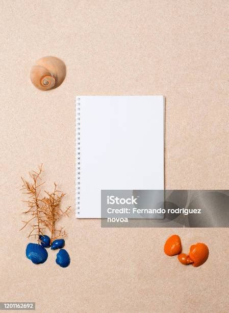 파란색 주황색 갈색 바다 조개 흰색 종이 채우기 해변 모래 배경에 밝은 갈색 가지 상단보기 0명에 대한 스톡 사진 및 기타 이미지 Istock