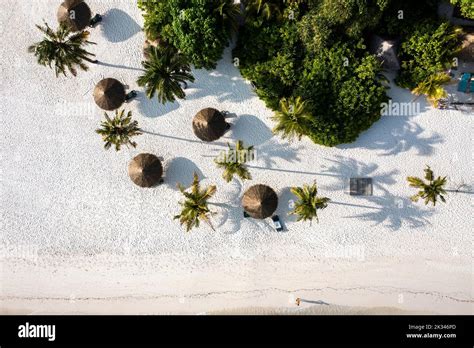 Aerial View Umbrellas On A Beach Of A Maldivian Island Maldives