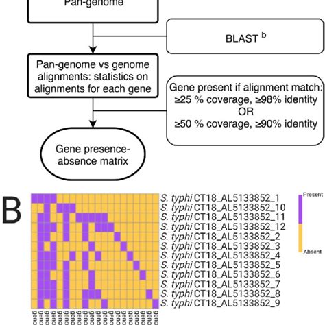 Genapi Workflow A Genapi Data Flow Including The Tools Cd Hit Est 16