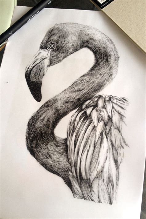 Flying Flamingo Drawing