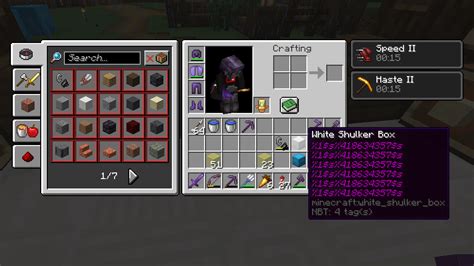 Shulkerbox Glitch Rminecraft