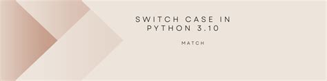 Python Match Switch Case Statement