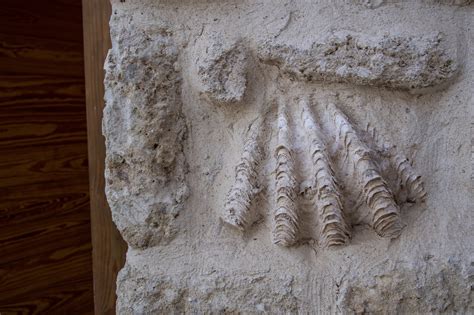 Galeria De Casa De Praia Respirante Karm Architecture Lab Kal 4