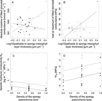 The Interrelationships Between Anatomical Leaf Traits And The Four Download Scientific Diagram