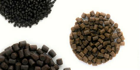 VIDEO: Coppens' new equipment to boost feed production 50% | IntraFish.com