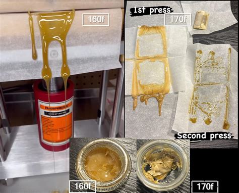 Same Hash Different Temp Rrosin2