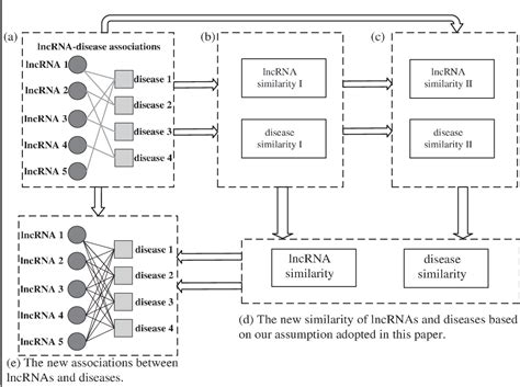 Figure 1 From A Novel Method For Lncrna Disease Association Prediction