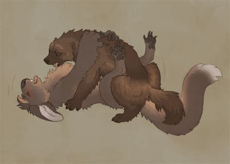 Rule 34 Ambiguous Gender Ambiguous Penetrated Blush Brown Body Brown Fur Claws Countershade